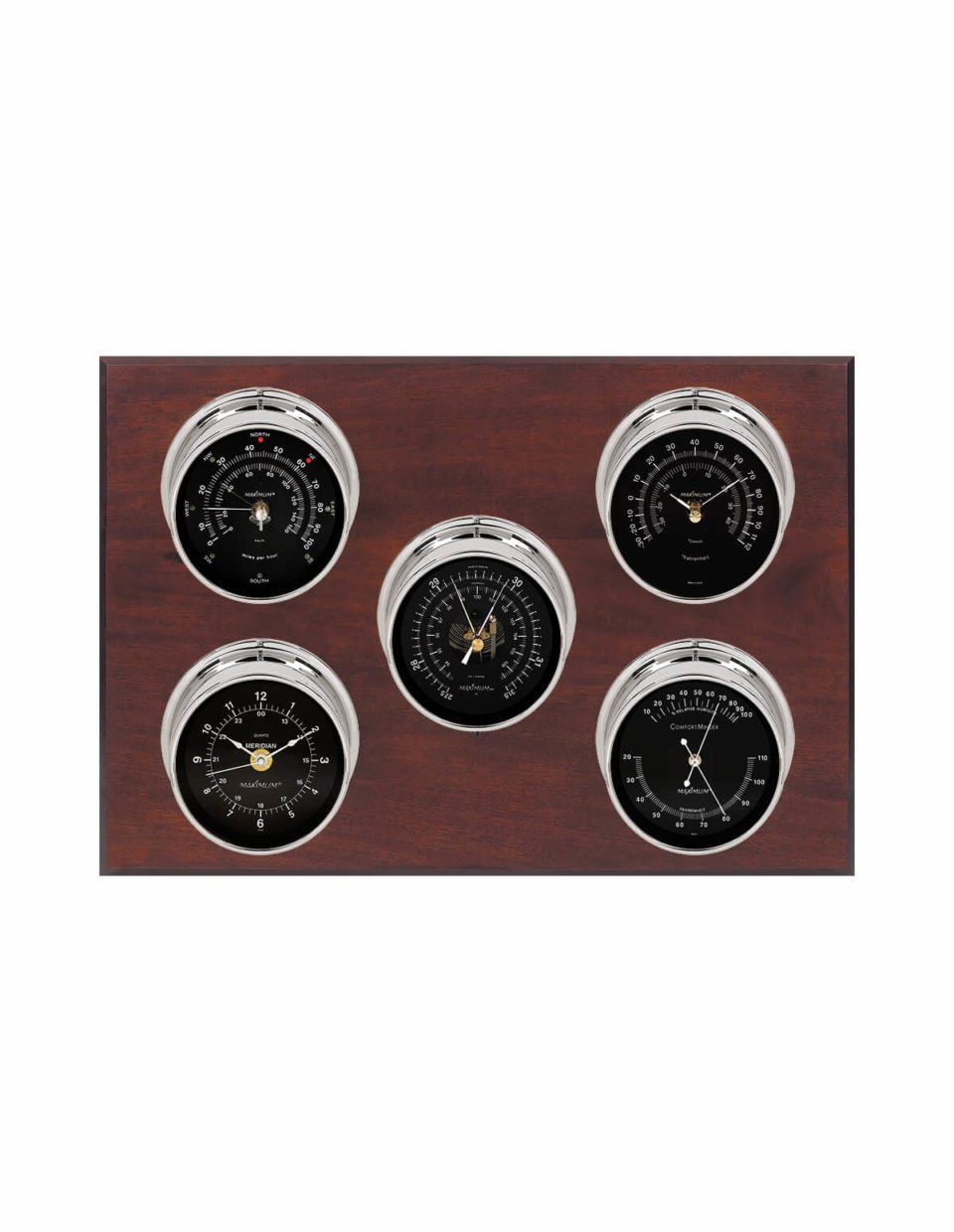 Professional Weather Station | Maximum