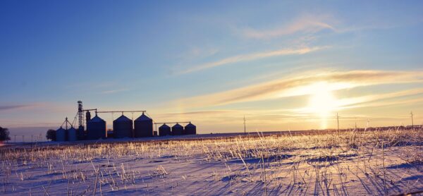 Farm Weather Stations: Why They're Important in Agriculture - Maximum ...